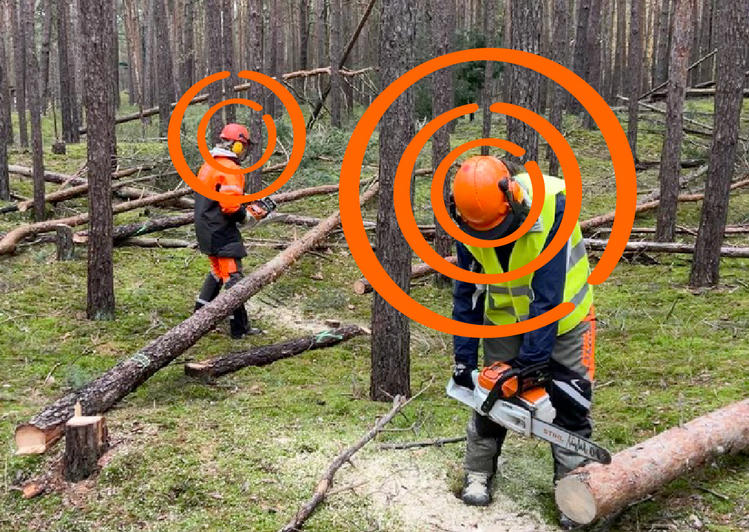 Forstarbeiterhelm - Sägenschein.de